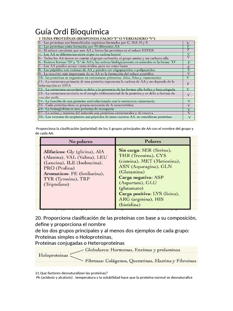 Guía Ordi Bioquimica | PDF | Polisacárido | Carbohidratos