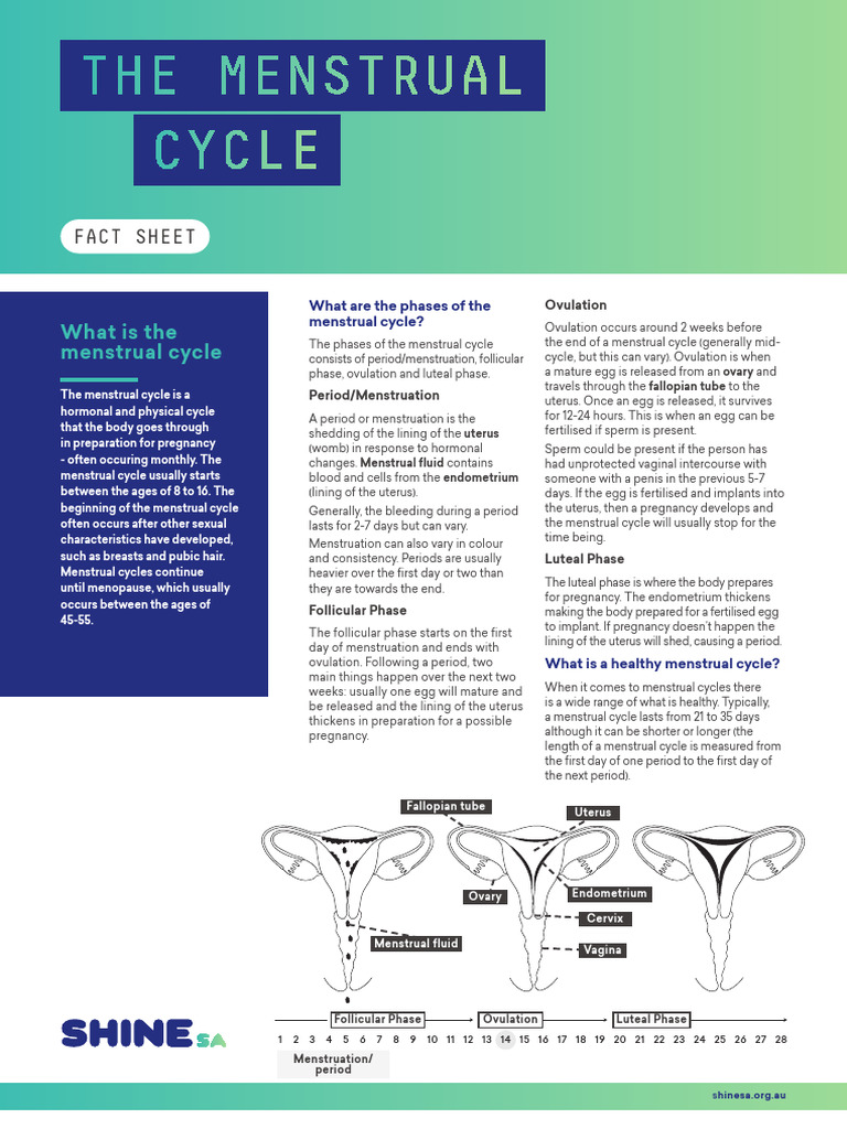 The Menstrual Cycle | PDF | Menstrual Cycle | Premenstrual Syndrome