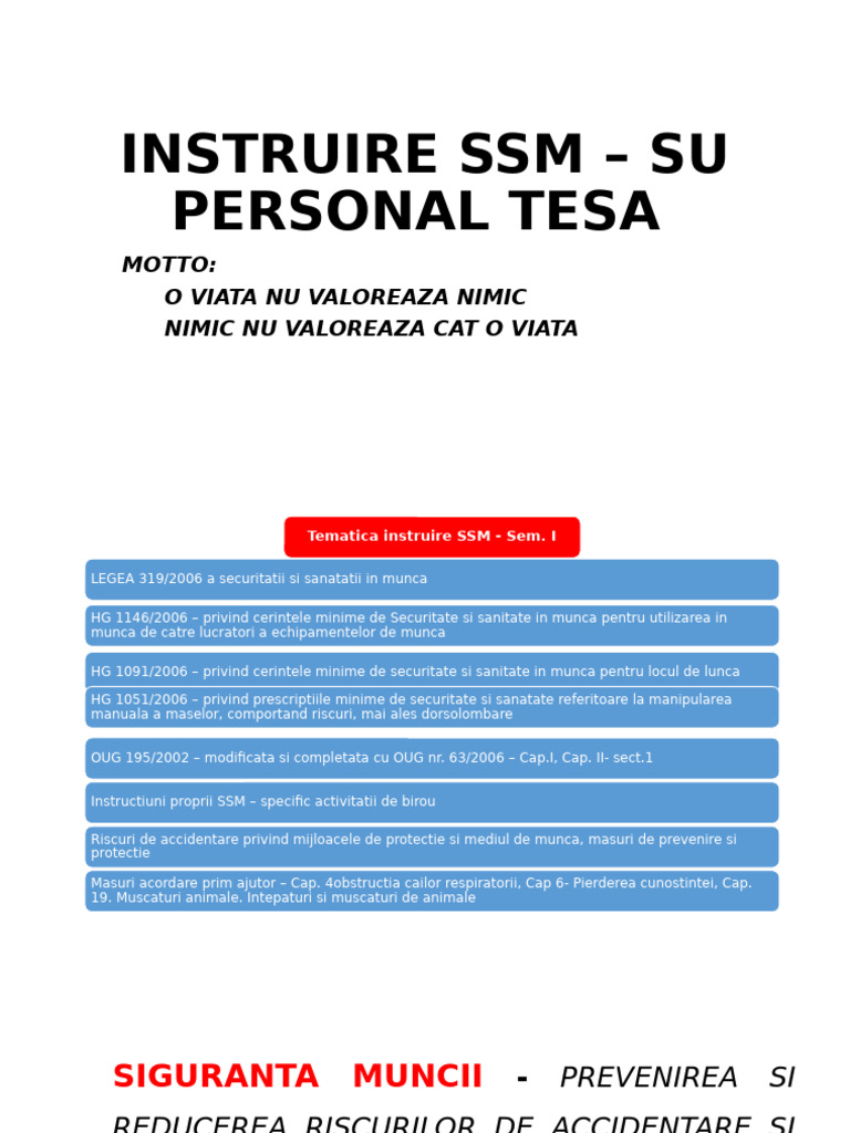 Instruirea SSM | PDF
