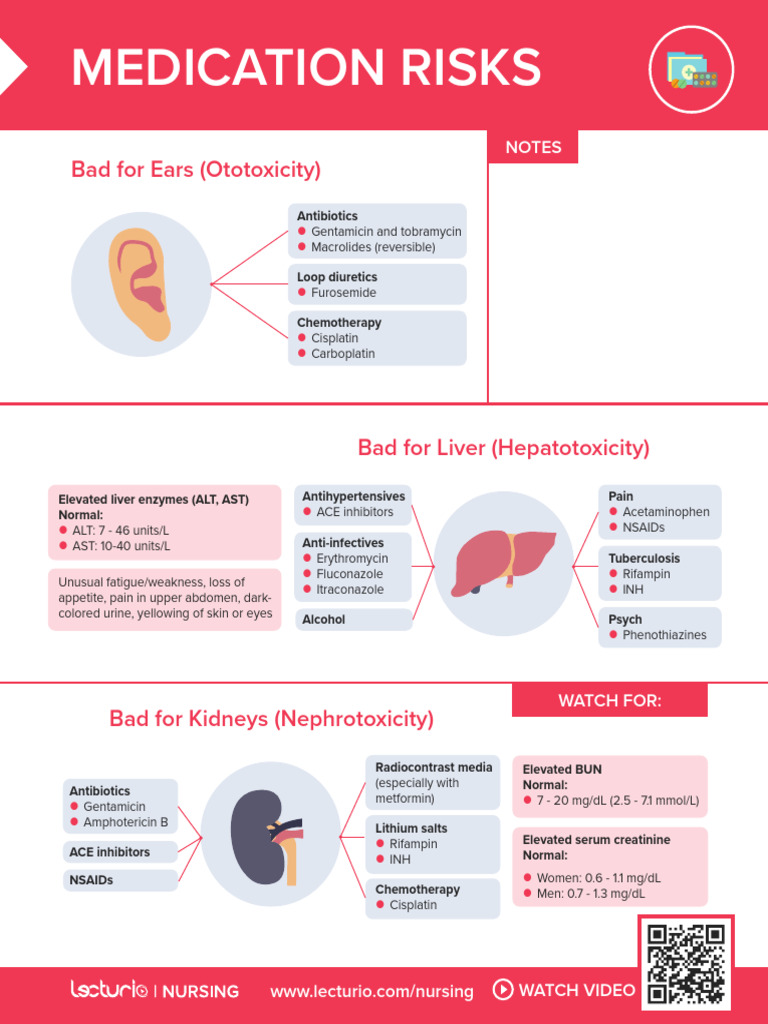 Medication Risks: Ototoxicity, Hepatotoxicity, Nephrotoxicity | PDF ...