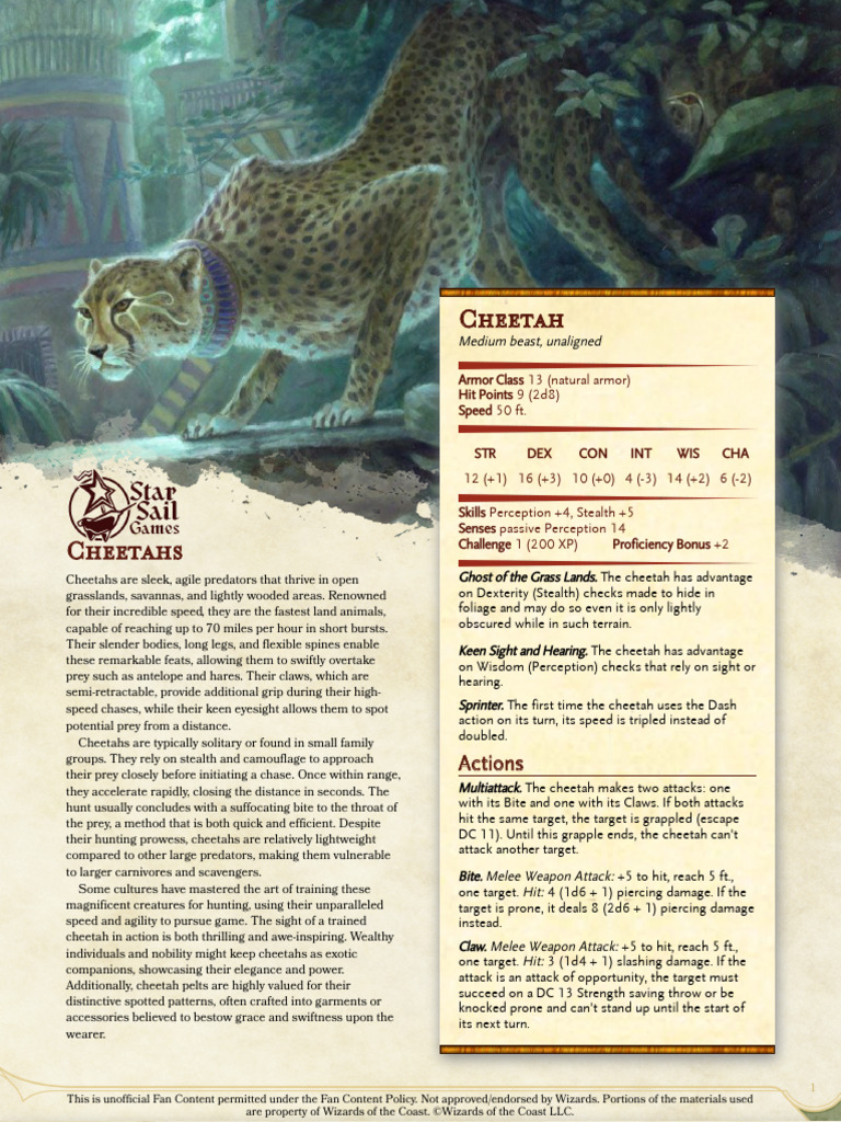 Cheetahs | PDF | Predation | Hunting