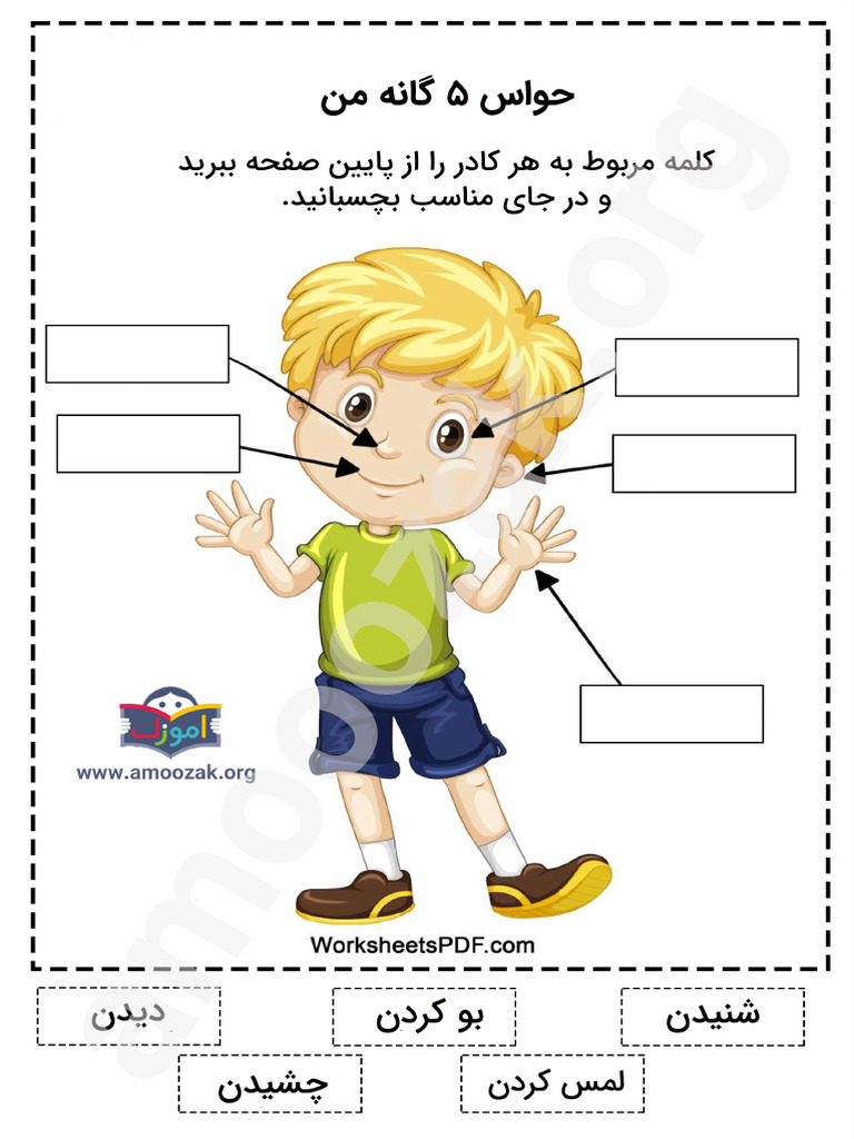 Karbarg Fivesense Amoozak | PDF
