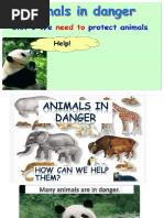 Endangered Animals Quiz | PDF