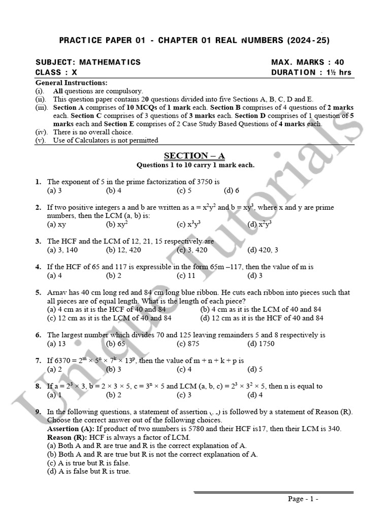 Maths Class X Chapter 01 Real Numbers Practice Paper 01 2024 | PDF ...