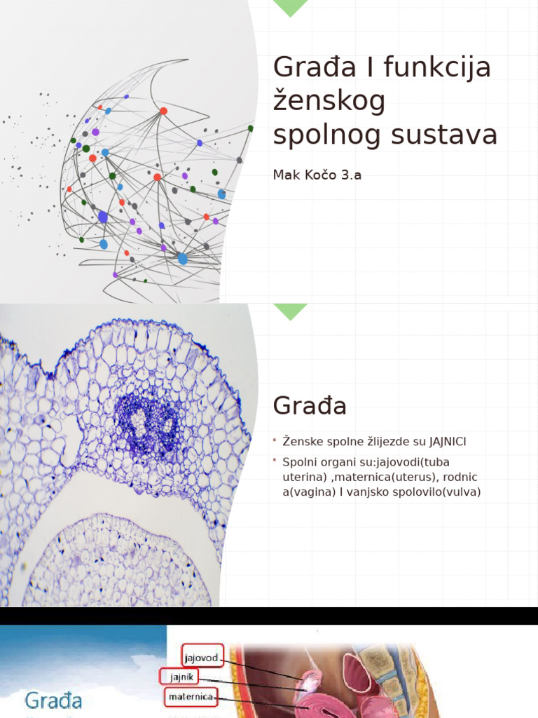 Mak Biologija | PDF