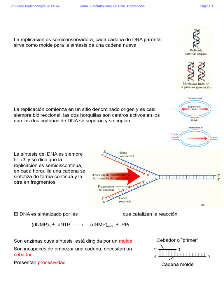 03-Metabolismo Del DNA. Replicación | PDF | Replicación De Adn | Adn