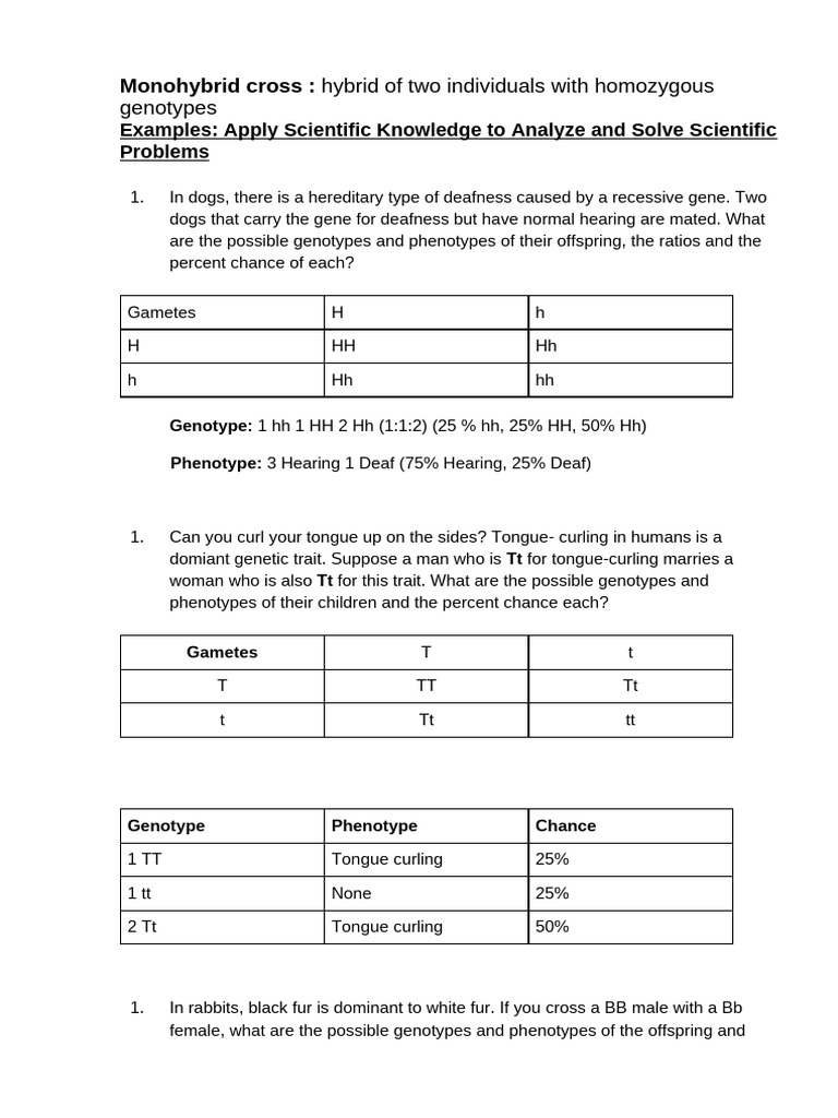 Biology 08:10:24 | PDF | Dominance (Genetics) | Zygosity
