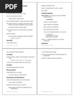 Phylum Priapulida | PDF