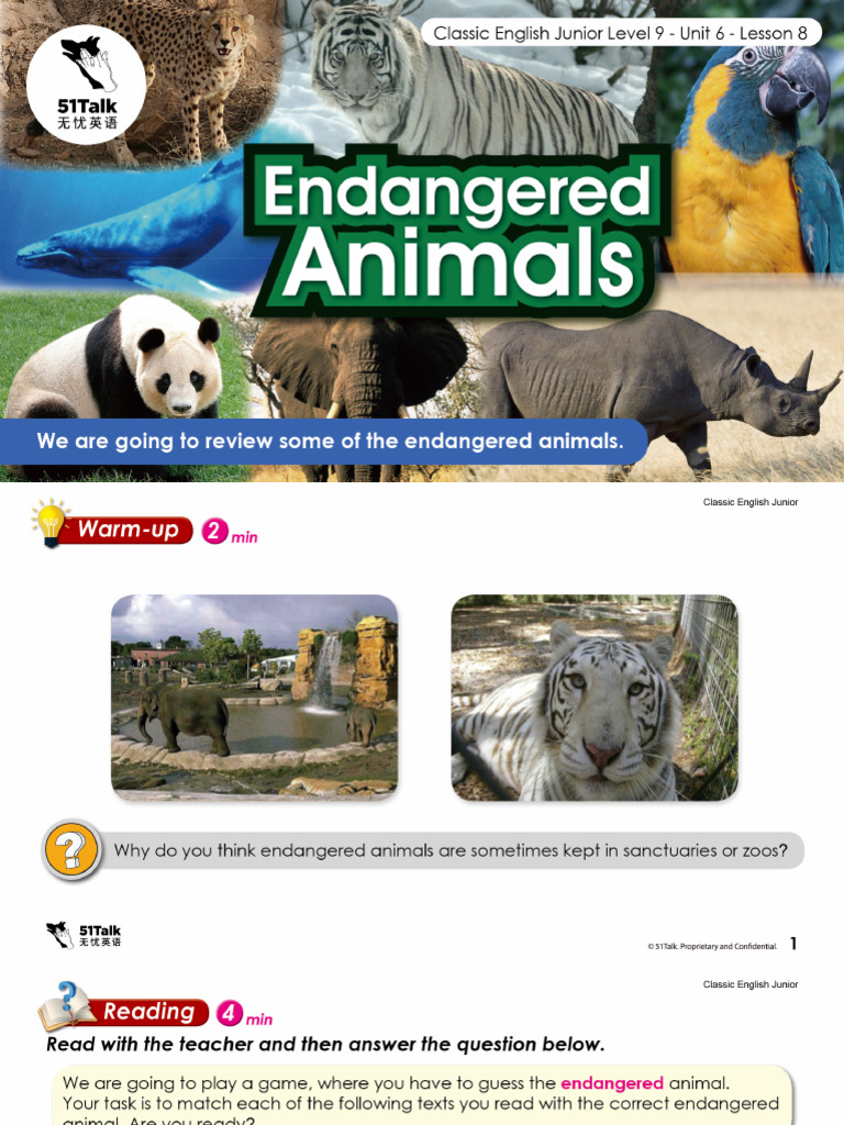 Lesson 8 Endangered Animals | PDF