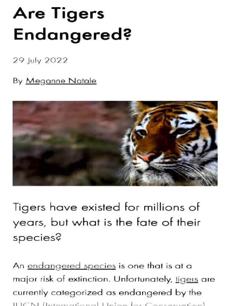 Understanding Tiger Endangerment Issues | PDF | Tiger | Endangered Species