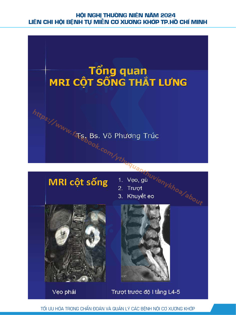 Vo Phuong Truc | PDF