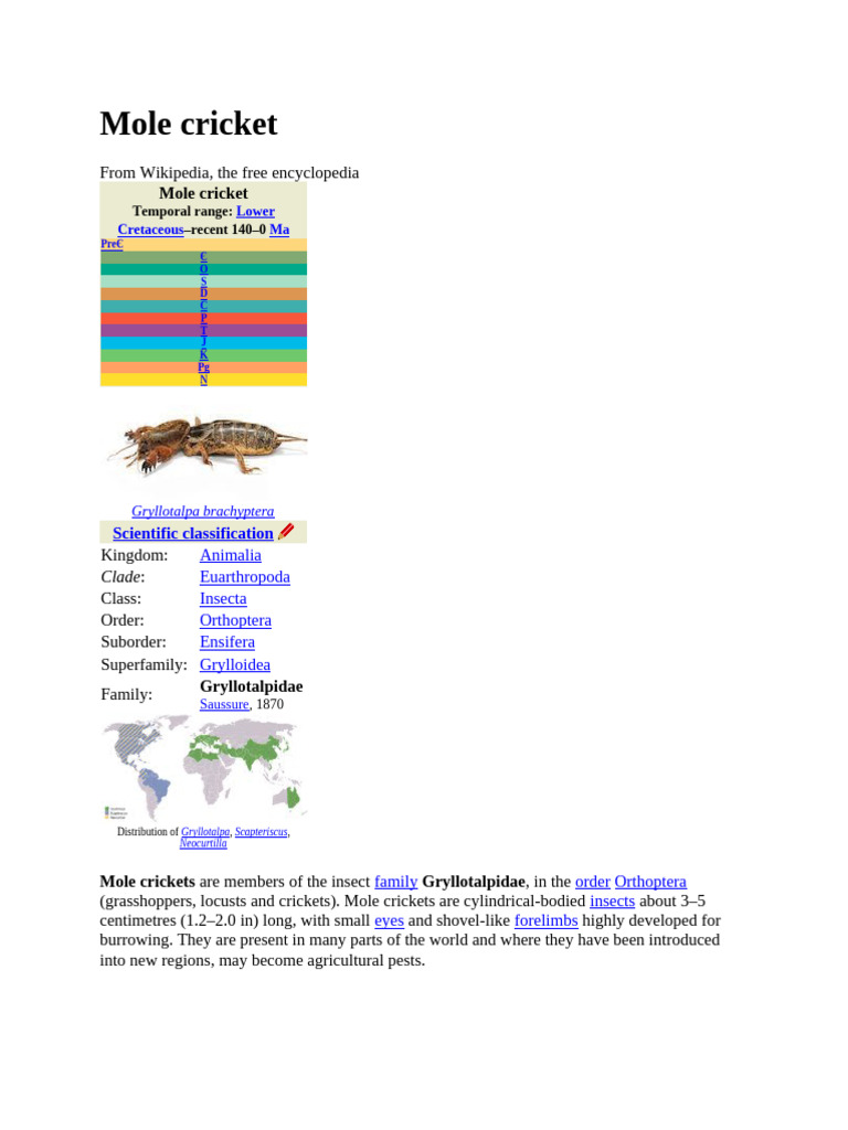 Mole Cricket | PDF | Insects