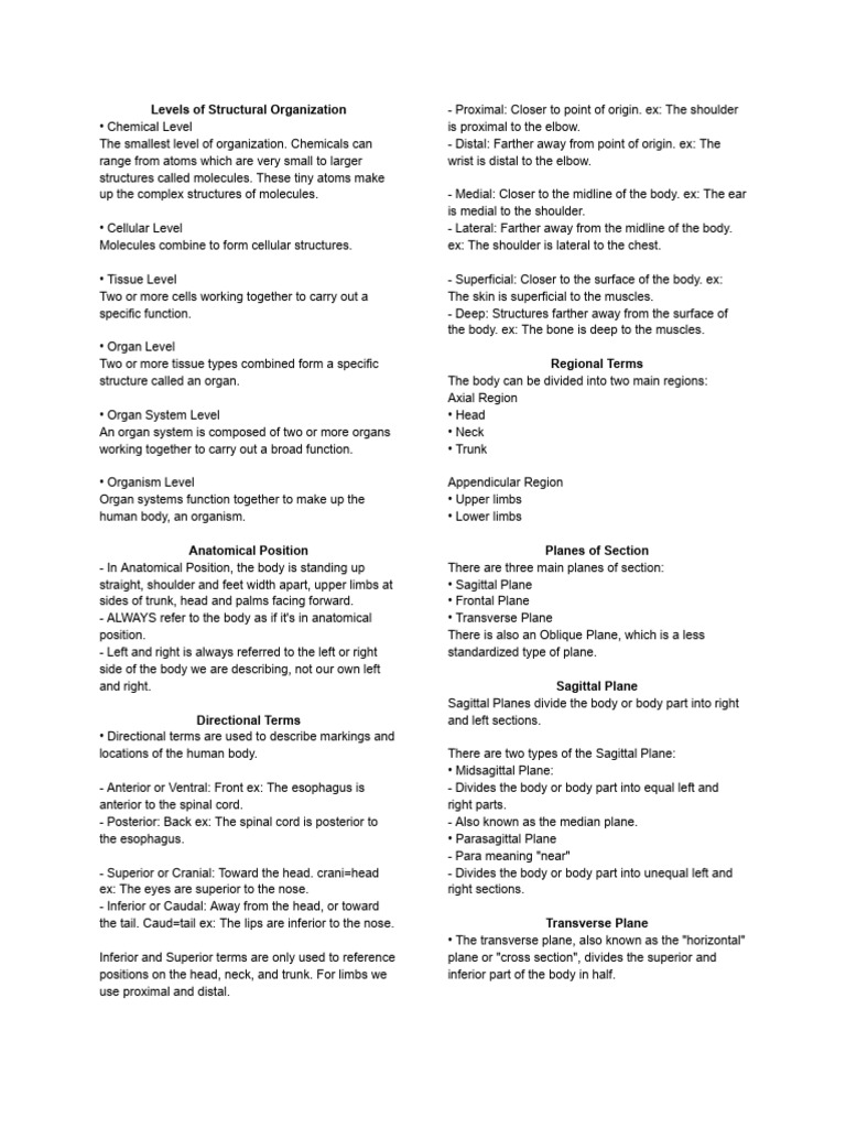 Introduction: Anatomy and Physiology | PDF | Peritoneum | Anatomical ...