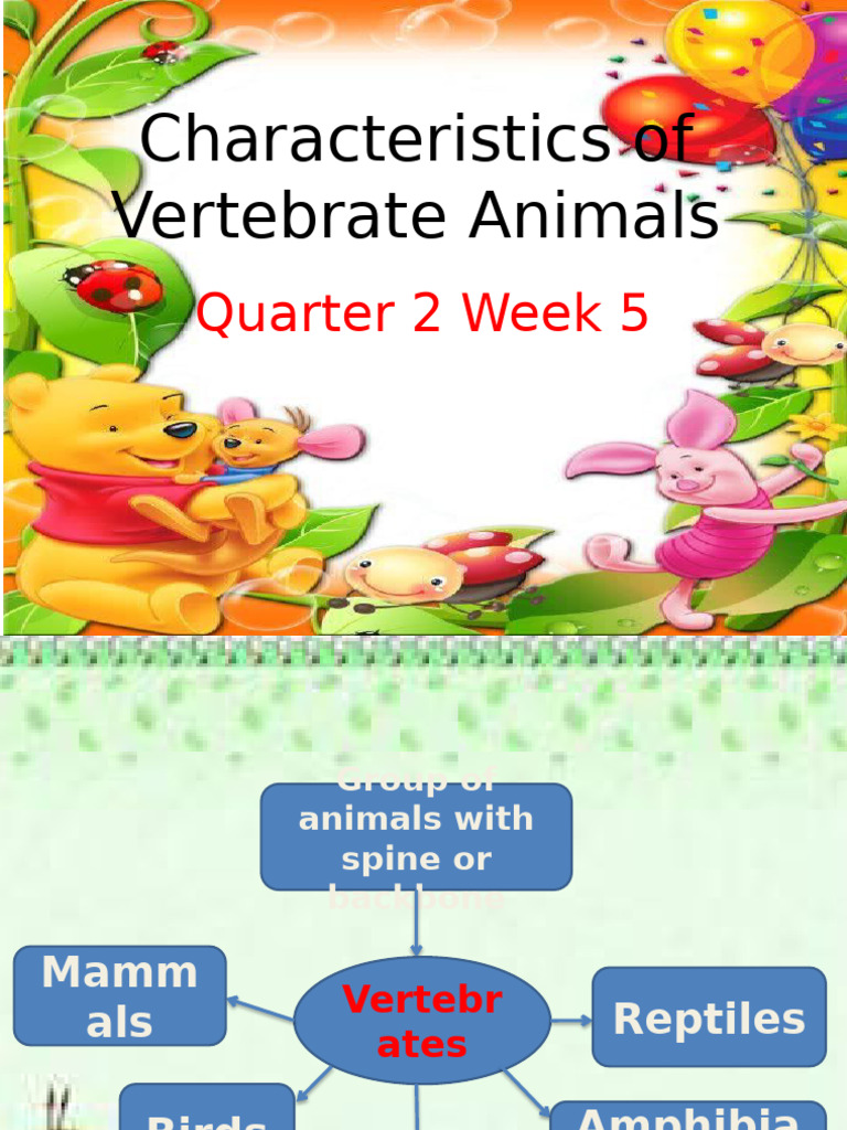 Characteristics of Vertebrate Animals | PDF | Amphibian | Zoology