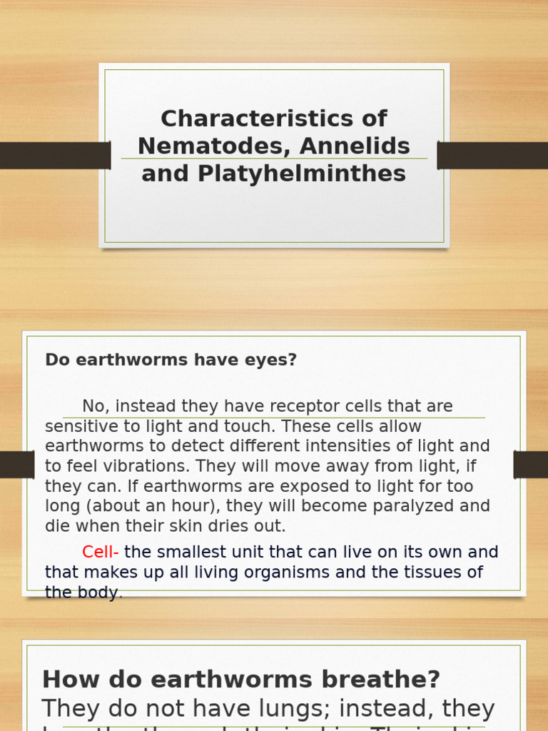 Characteristics of Worm Phyla: Nematodes, Annelids, Platyhelminthes | PDF | Nematode