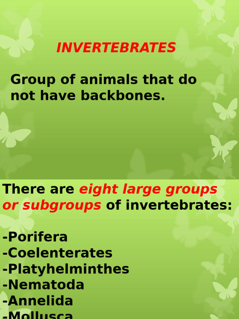 Grade 6 PPT Science Q2 W6 Invertebrates | PDF | Invertebrate | Crustacean