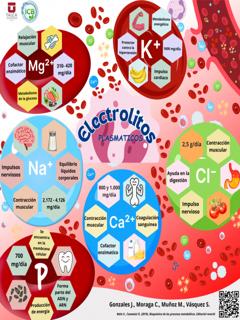 Infofrafia Electrolitos | PDF
