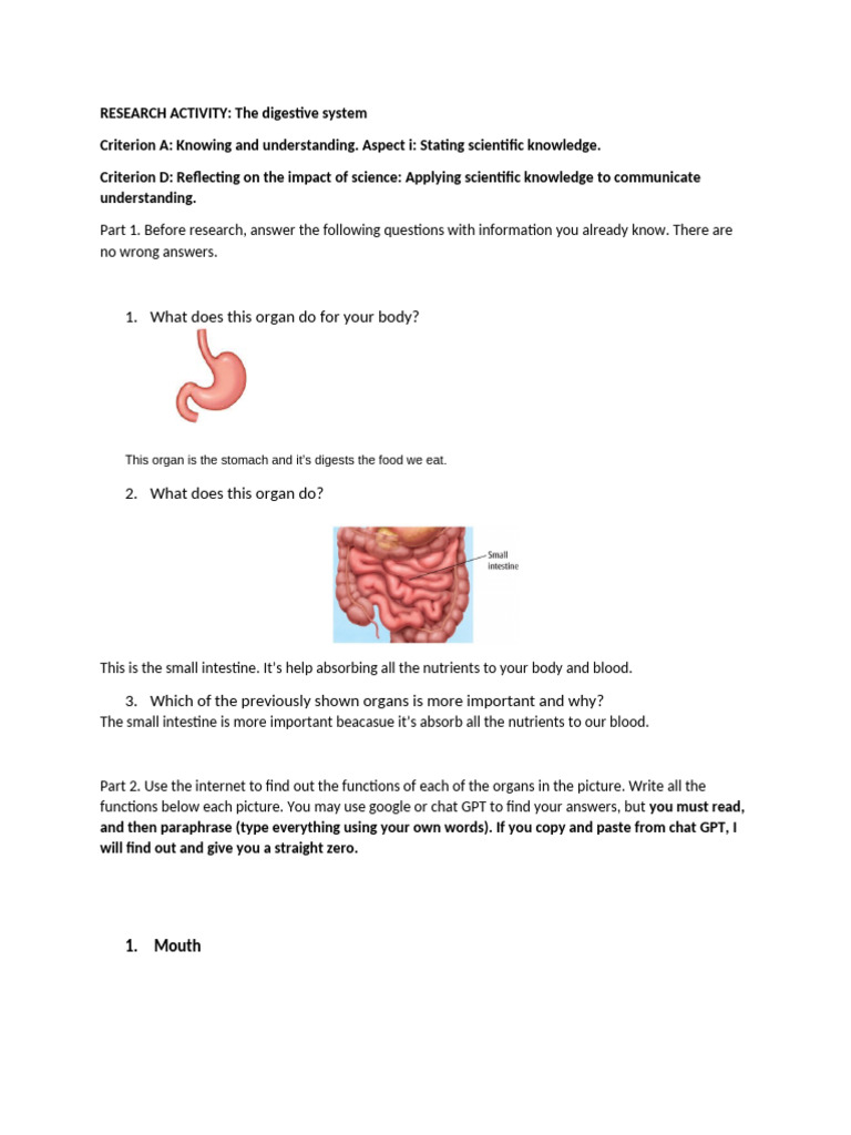 Digestive System Research | PDF | Digestion | Gastrointestinal Tract