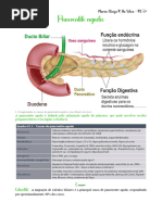 Anatomia e Fisiologia Do Pâncreas | PDF | Pâncreas | Câncer