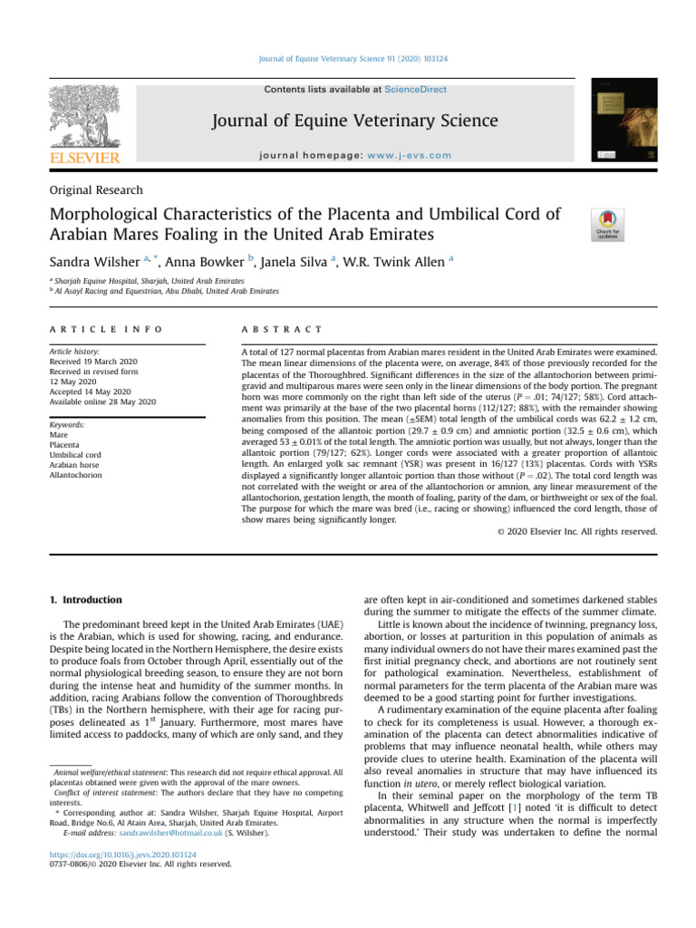 Morphological Characteristics of The Placenta and Umbilical Cord of ...