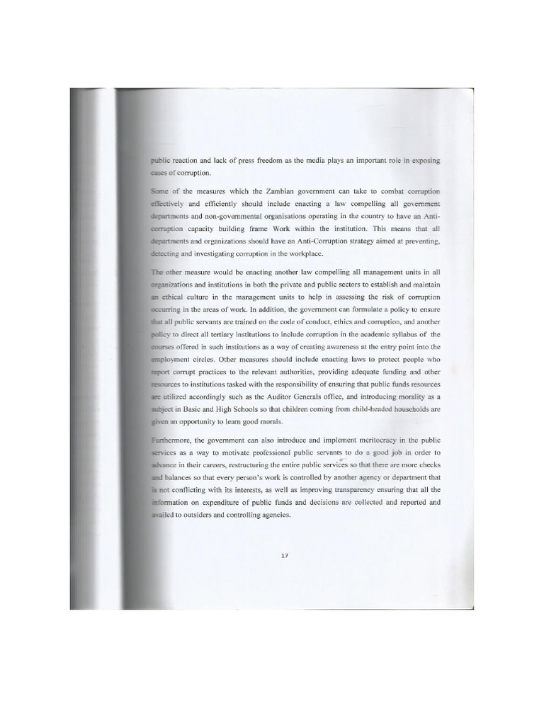 Civic Essay Pamphlet | PDF