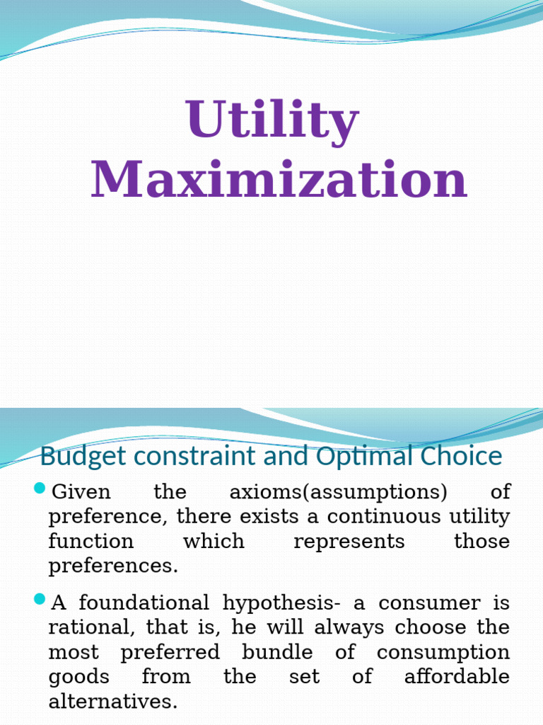P2-Utility Maximization | PDF | Utility | Mathematical Optimization