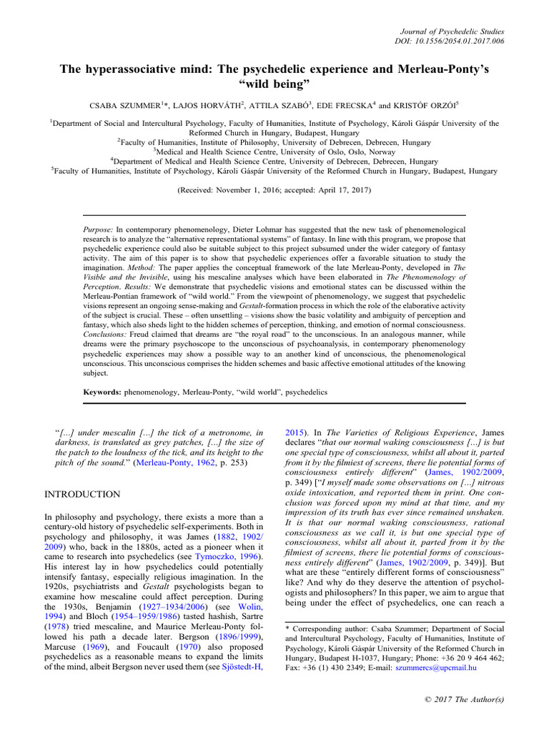 2016 006 JPS Szummer Online | PDF | Experience | Phenomenology (Philosophy)