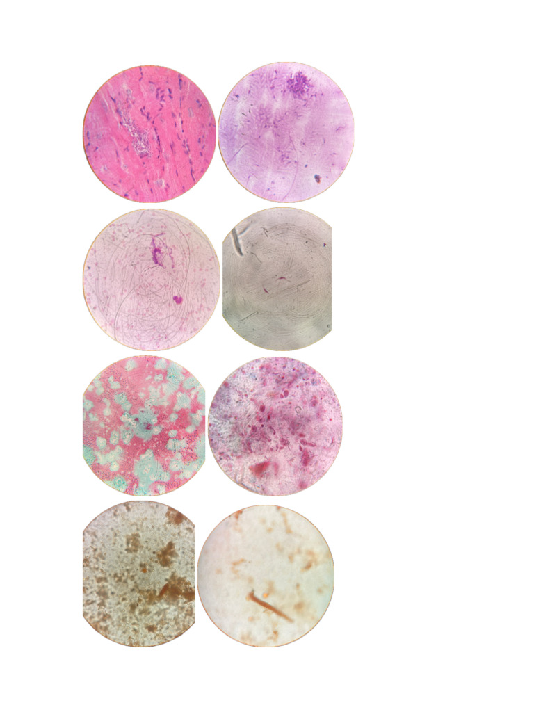 Imágenes Micro PDF | PDF