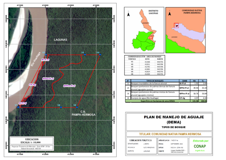 Mapa Tipos de Bosque | PDF