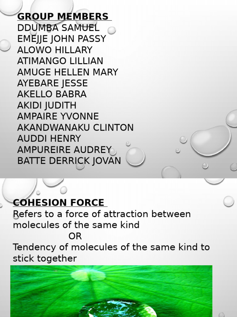 Cohesion Slides | PDF | Social Science | Wellness