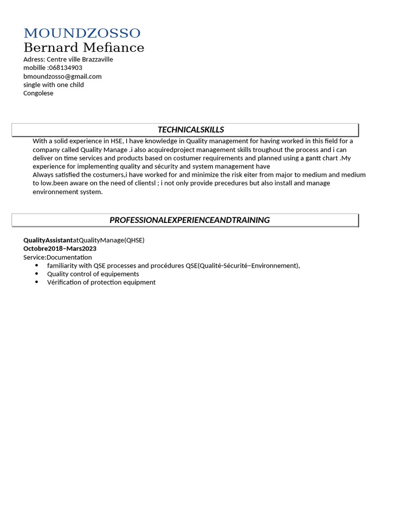 CV Davy 2O17 Englis | PDF | Computers