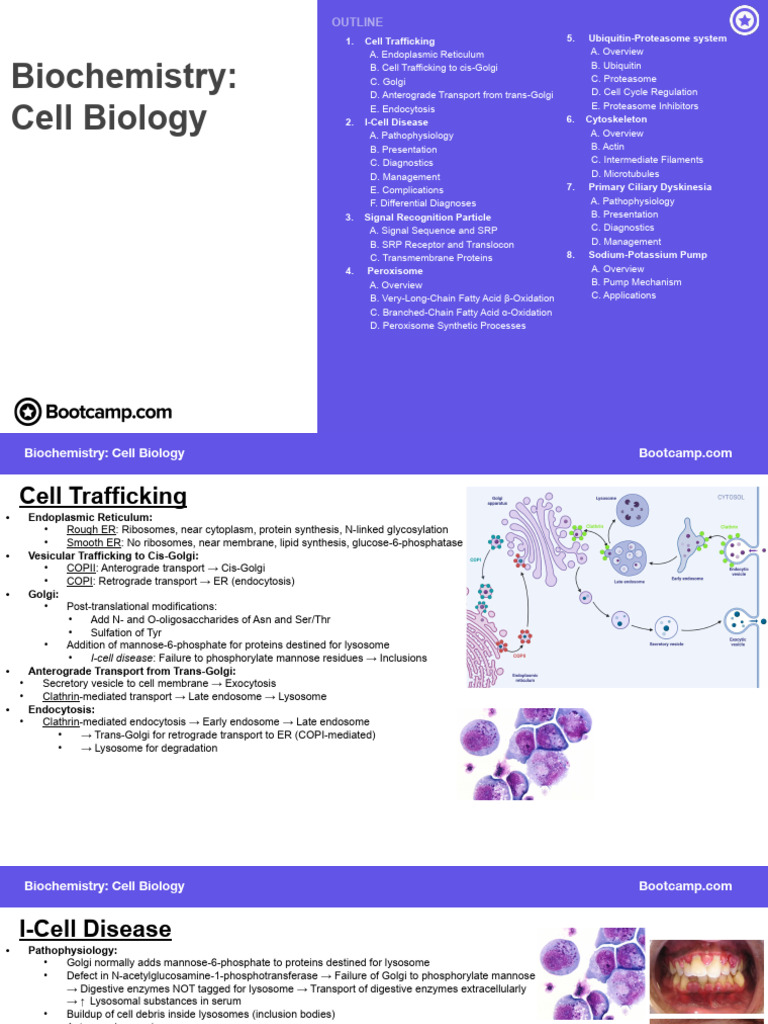 Biochemistry | PDF | Diet & Nutrition | Chemistry