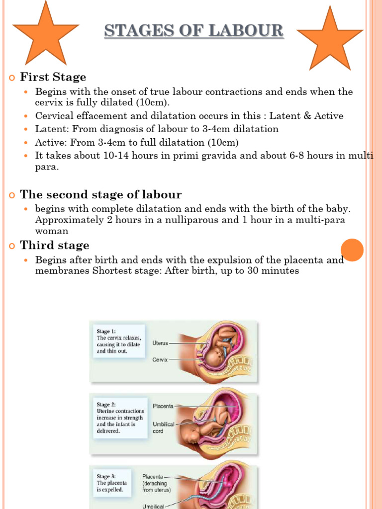 Normal Labour-45-74 | PDF | Childbirth | Pelvis
