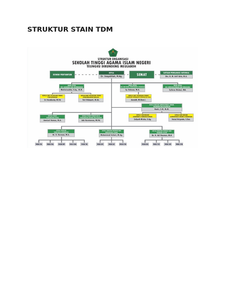 Struktur Stain TDM | PDF