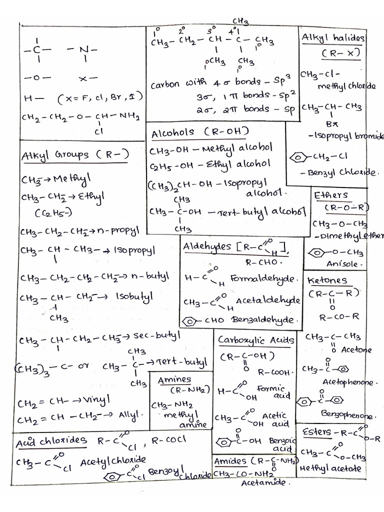 Organic Basic Note | PDF