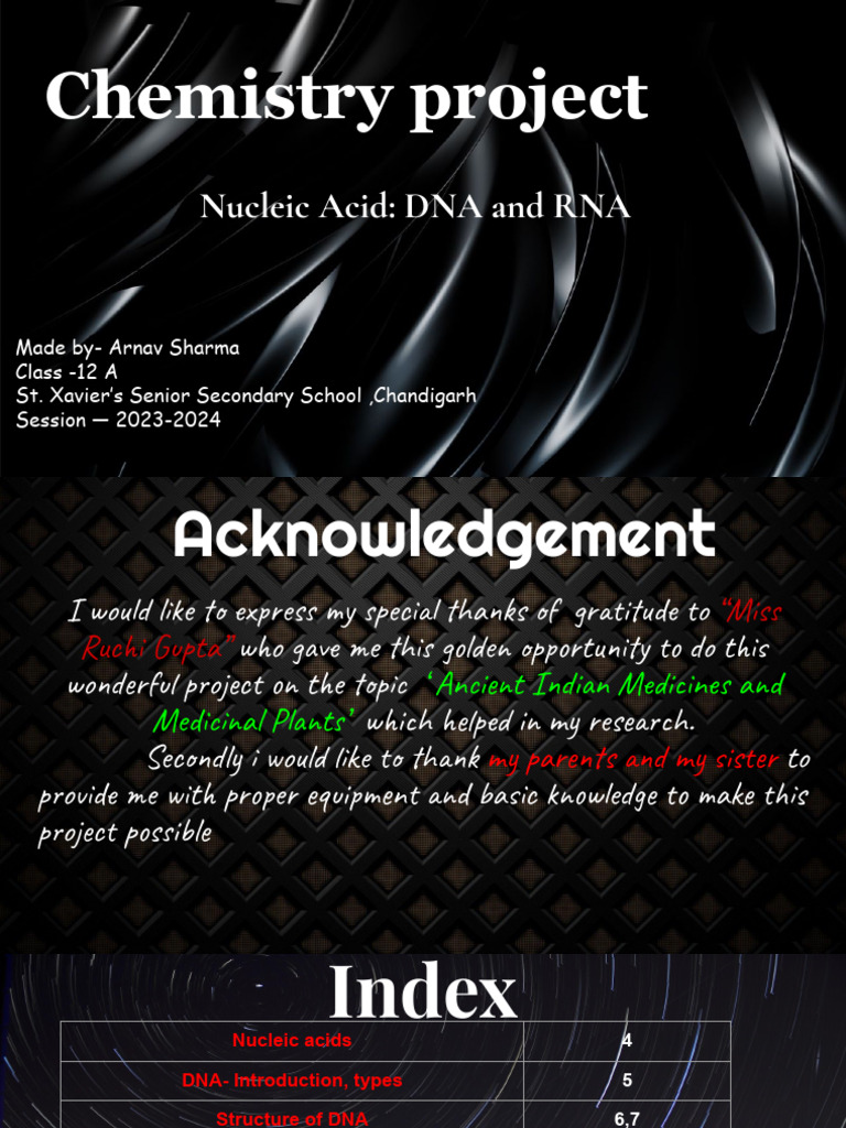 Chemistry Project Class 12A | PDF | Dna | Rna