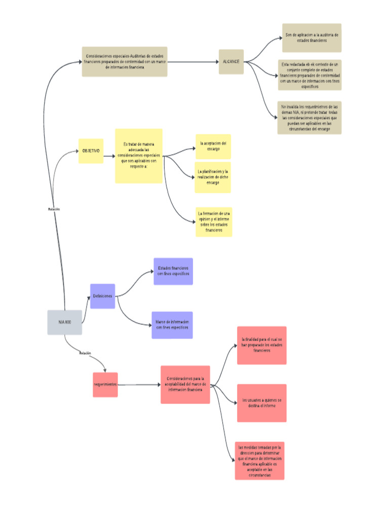 NIA 800 - Consideraciones Especiales-Auditorias de Estados | PDF