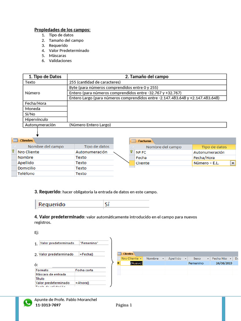 PROPIEDADES DE LOS CAMPOS - Informática | PDF | Programación de ...