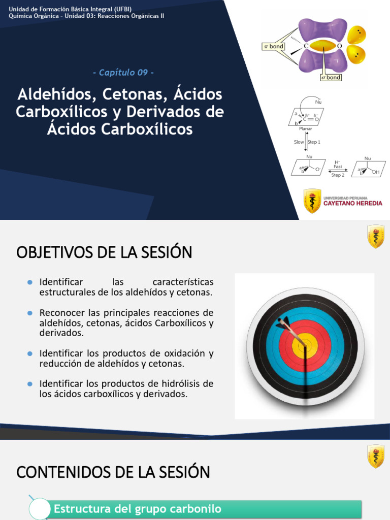 Cap09 - Aldehidos, Cetonas, Acidos Carboxilicos y Derivados | PDF | Ester | Ácido carboxílico