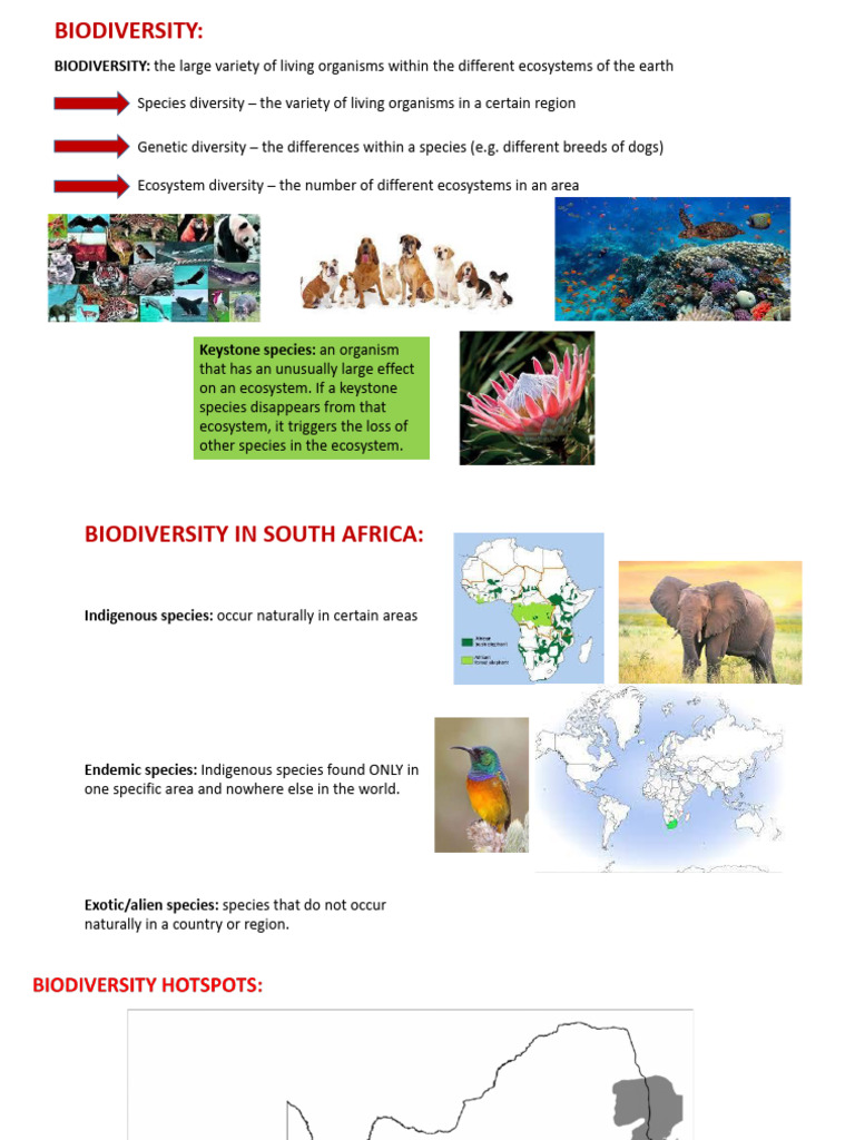 Biodiversity and Classification Pp Printable | PDF | Cell (Biology ...