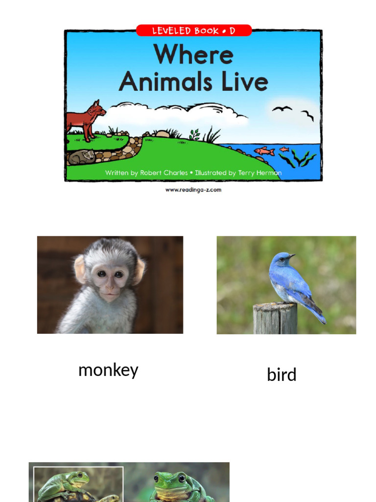 17. Where Animals Live | PDF