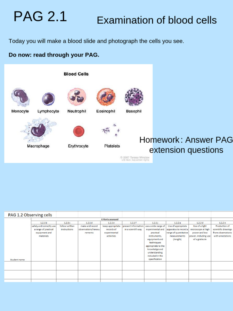 L3 Chapter 2 Basic Components - Making Slides | PDF | Cell Biology | Anatomy