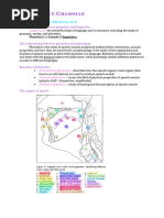 IPA I-Charts (2025) | PDF | Human Voice | Phonetics