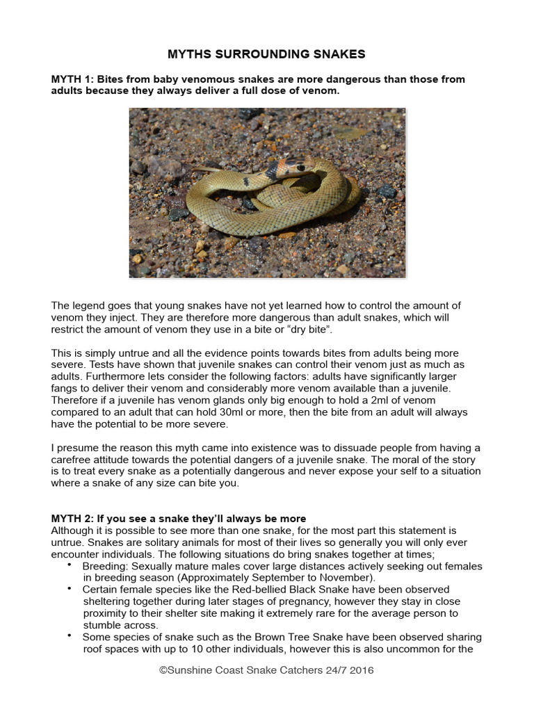 MYTHS SURROUNDING SNAKES 123 | PDF | Snake | Venom