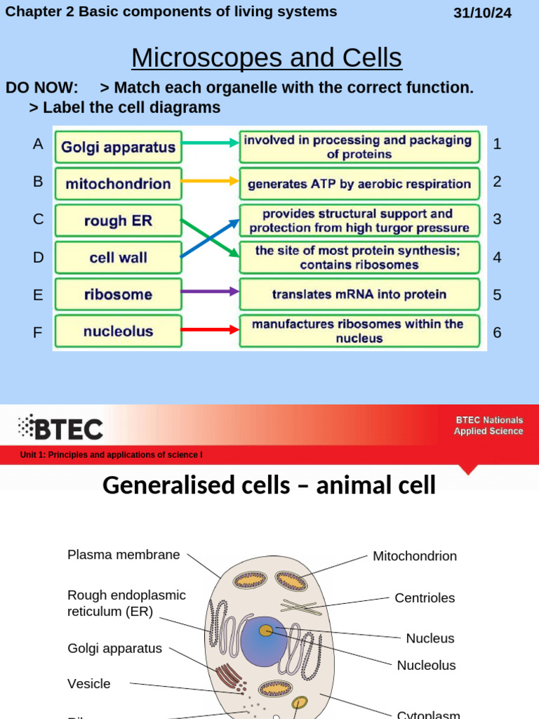 L1 Chapter 2 Basic Components - Microscopes | PDF | Electron Microscope | Cell (Biology)