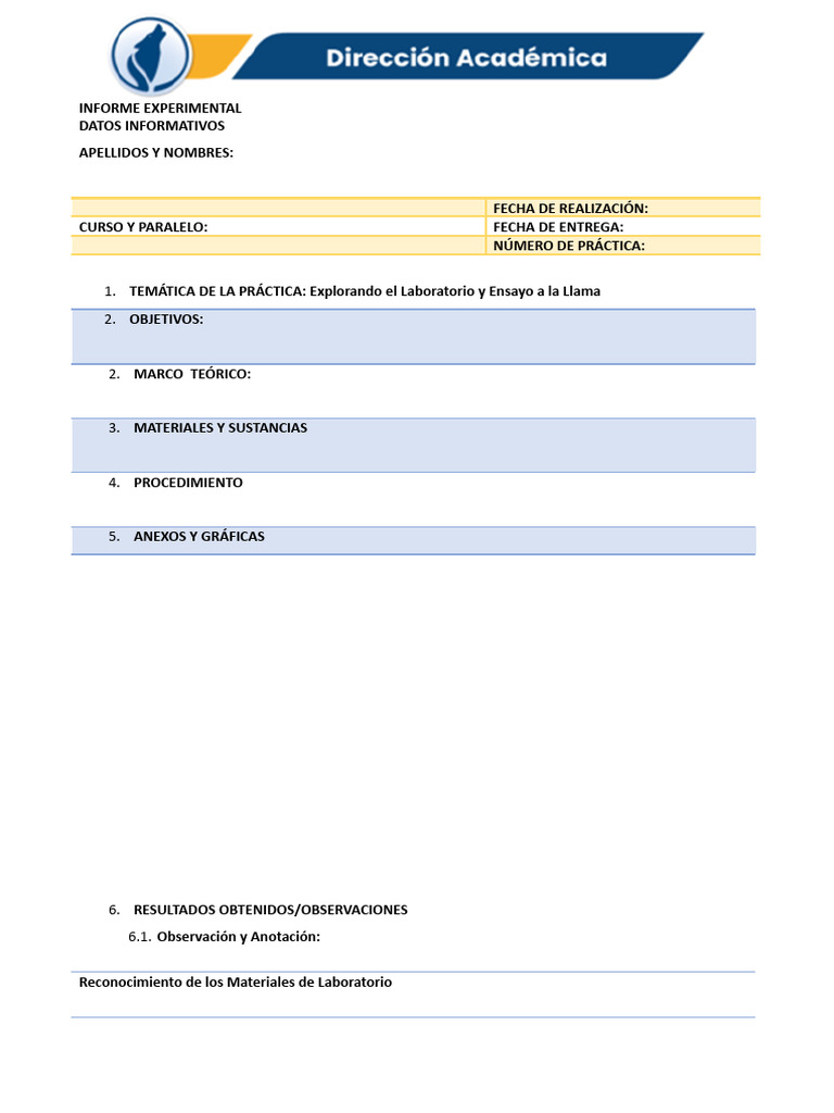 Pr-Ctica 1 - Quimi - Formato Informe Experimental | PDF | Ion | Electrón