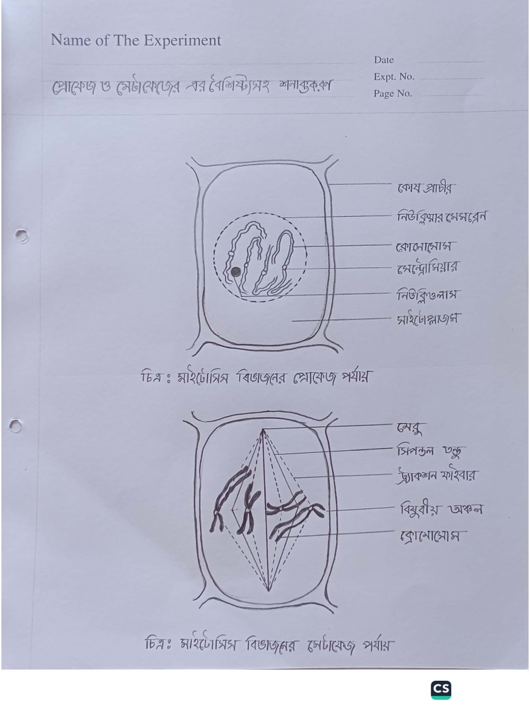 Biology 1st Paper Practical | PDF