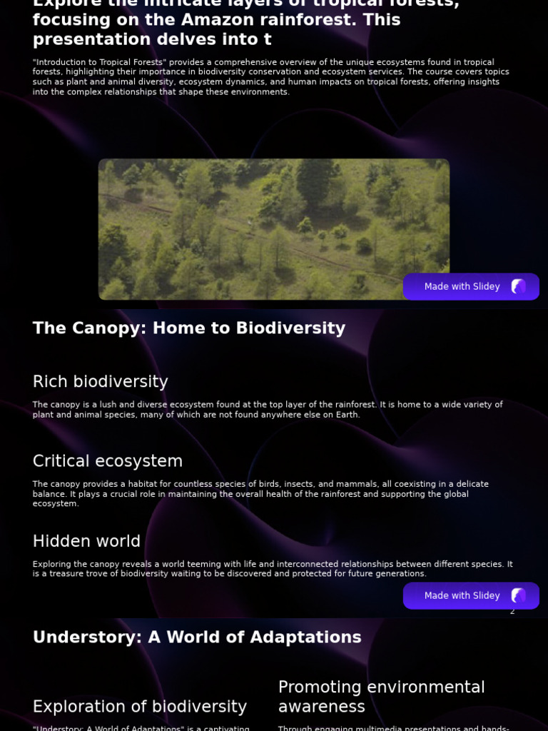 __Title_Layers of Tropical Forests Unveiling the Amazon Ecosystem ...
