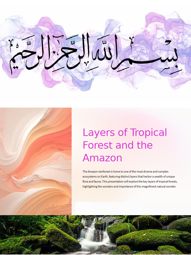 Layers of the Amazon Rainforest | PDF | Rainforest | Canopy (Biology)