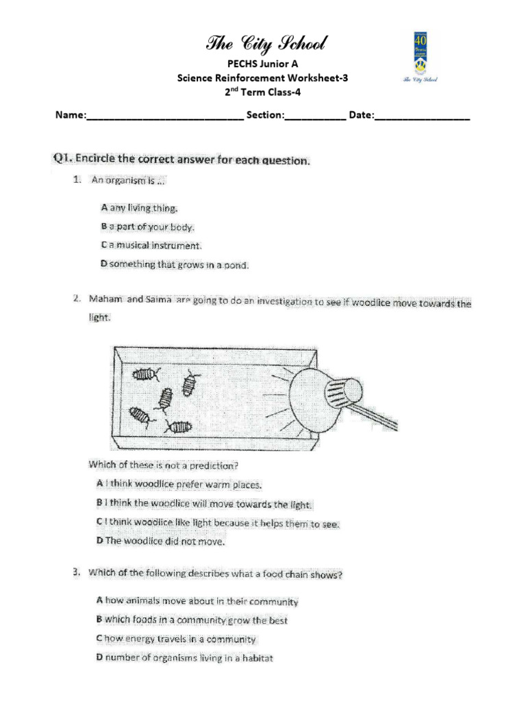 Class 4 Science Worksheet PECHS Junior A | PDF